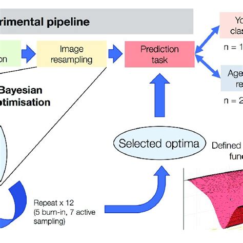 Experimental Overview Of The Use Of Bayesian Optimization In Image Download Scientific