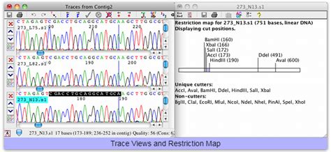Codoncode Aligner 生物序列分析工具 北京睿驰科技