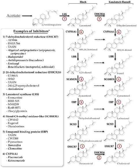 Figure 1 From Chemical Inhibition Of Sterol Biosynthesis Semantic Scholar