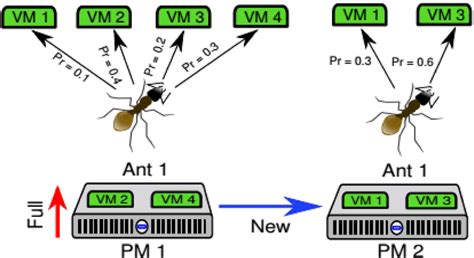 Imacs Illustration Towards Vm Migration‐based Load Balancing Download Scientific Diagram