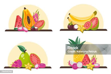 열 대 과일 세트입니다 다른 과일 스티커 신선하고 이국적인 유기농 비타민 건강한 음식 바나나 망고스틴 수박 Labeles 포스터 카드 커버 섬유 부엌에 대 한 벡터 일러스트