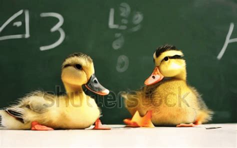 Vchitectvlogger · Hugging Face