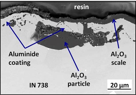 Sem Bse Image Showing Cross Section Of An Aluminide Coating Formed On Download Scientific