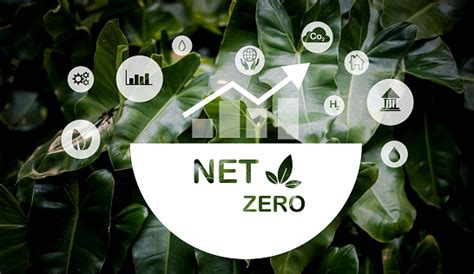 넷 제로와 탄소 중립 개념 Net Zero 텍스트는 숲이 있는 거품에 있습니다 온실가스 순배출 제로 목표 녹색 배경에 대한 기후 중립 장기 전략 탄소 중립 0에 대한 스톡