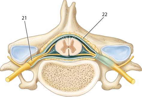 Solved Name Structures 21 22