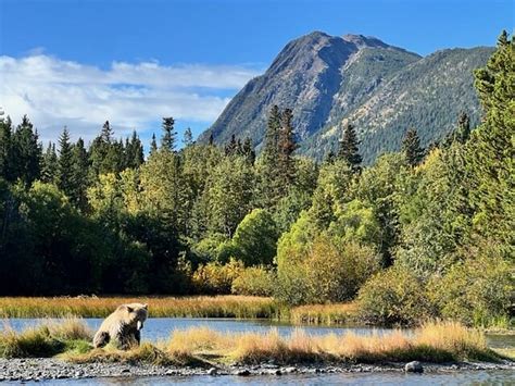 The Chilko Experience Wilderness Resort Tŝilhqox Biny Chilko Lake Lodge Reviews And Photos
