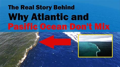 The Real Story Behind Why Atlantic And Pacific Ocean Don T Mix In Real Stories Pacific