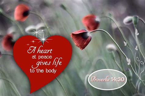 Proverbs 1430 Inspirational Bible Verses Book Of Proverbs Word Of God