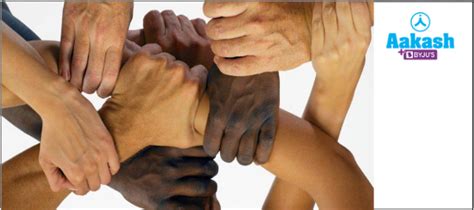 Polygenic Inheritance Characteristics Examples Practice Problems And Faqs In Biology