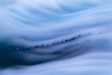 how to pre populate inputs when editing forms in react by jared