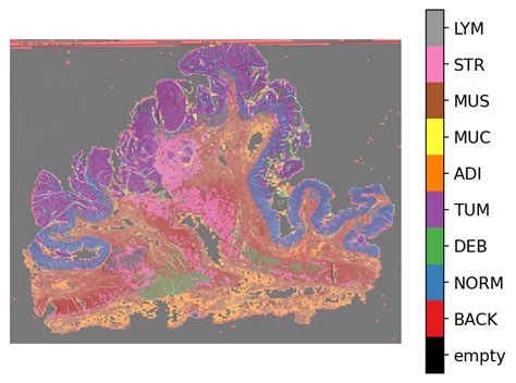 Patch Prediction Models Tia Toolbox 1 6 0 Documentation