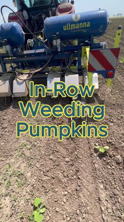 Martin Ullmann On Linkedin Weeding Pumpkins With Ai Technology