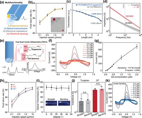 Multifunctional And Flexible Neural Probe With Thermally Drawn Fibers For Bidirectional Synaptic