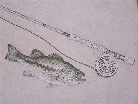 Fly Rod Drawing At Toya Mccloud Blog