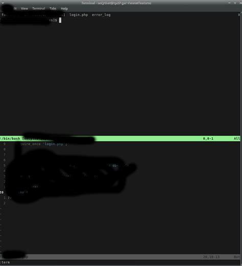 Term Resizing And Relocating Terminal Window And Switching From Terminal Window To Editor Rvim