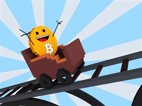 Bitcoin Never Ending Rollercoaster R Bitcoin