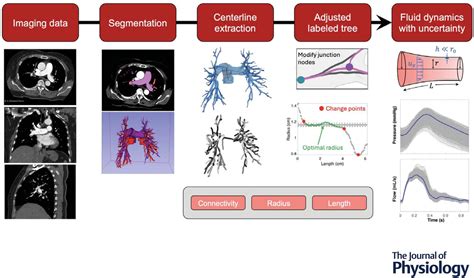 The Journal Of Physiology Vol 602 No 16