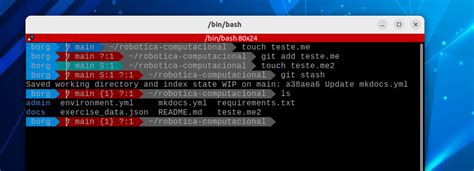 Configure o seu Git Robótica Computacional Insper