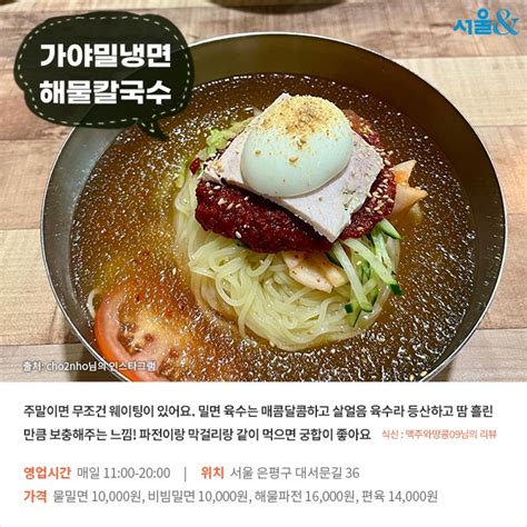 카드뉴스 속이 뻥 뚫리는 시원함 서울 냉면 맛집 5곳 문화일반 문화 뉴스 서울and