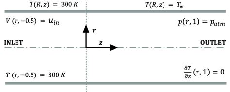 Schematic Of The Setup With Its Geometry And The Applied Boundary