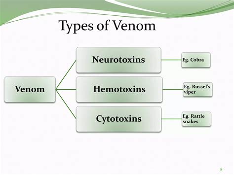 Snake Venom Pptx