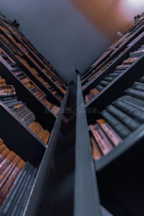 Vertical Low Angle Shot Of Bookshelves With Books In The Library Stock
