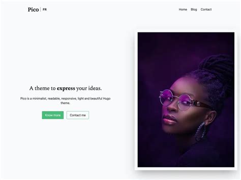 hugo theme pico by negrel a hugo template built at lightspeed