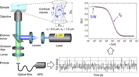Unlocking The Secrets Of Single Molecules With Fluorescence Correlation
