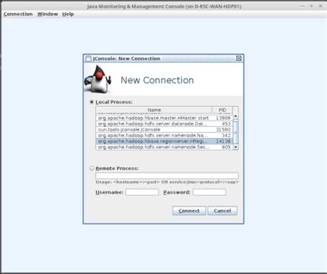 Monitorizar Procesos Java Con Jconsole 13 Jdk Y Jconsole Local