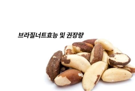 브라질너트 효능 및 하루 권장량 네이버 포스트