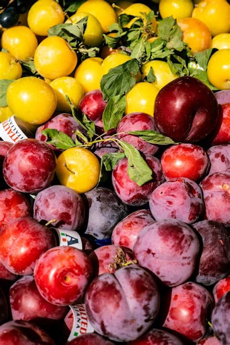 가판대 과일 과즙이 많은 노점 수직 쐈어 시장 신선한 자두에 관한 무료 스톡 사진