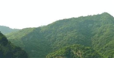 2022年陕西省国家湿地公园试点验收通过数量全国第三 腾讯新闻