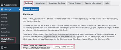 how to use multiple themes for pages in wordpress