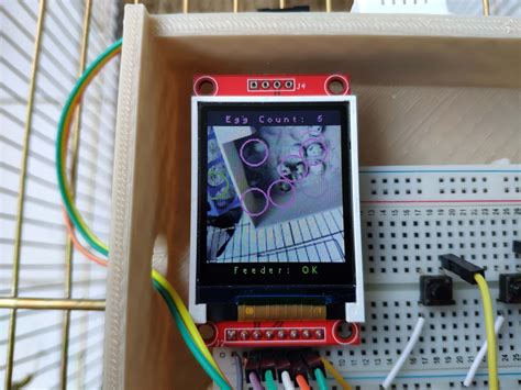 How To Handle Missing Categorical Values When The Existing Ones Are