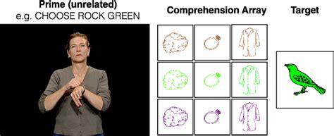Example Stimulus Array During A Syntactic Priming Trial A Video Of The Download Scientific