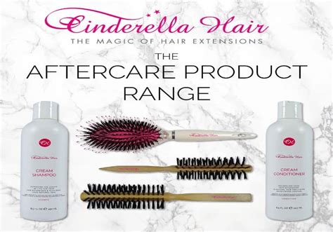 ← Previous Next →