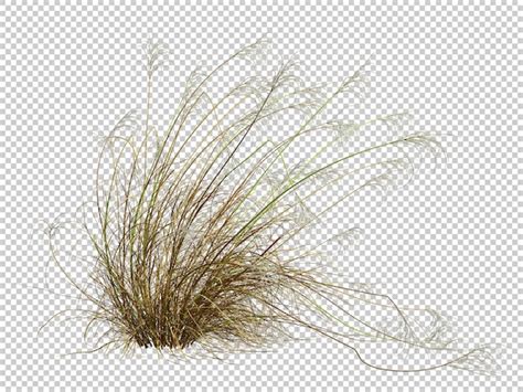 Premium Psd Cutout Dried Grass Overgrown Field 3d Render Illustration