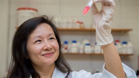 Nanotechnology Info And Statistics On Linkedin New Material Puts Eco Friendly Methanol Conversion