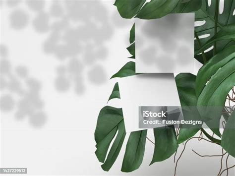 자연 잎과 그림자카드 모형 프레젠테이션 브랜딩을 위한 모형 디자인 템플릿입니다 3d 렌더링 개념에 대한 스톡 사진 및 기타 이미지 Istock