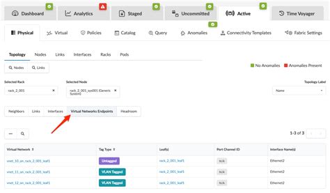 Virtual Networks Endpoints Active Apstra Juniper Networks Virtual Networks Endpoints Active Apstra Juniper Networks