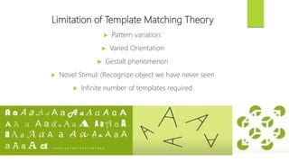 Pattern Recognition A Cognitive Process PPTX