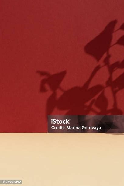 붉은 벽과 베이지 색 테이블에 식물 잎의 그림자가있는 프리미엄 연단 화장품 프리젠 테이션을위한 최소한의 추상적 인 배경 쇼케이스 디스플레이 케이스 갈색에 대한 스톡 사진 및