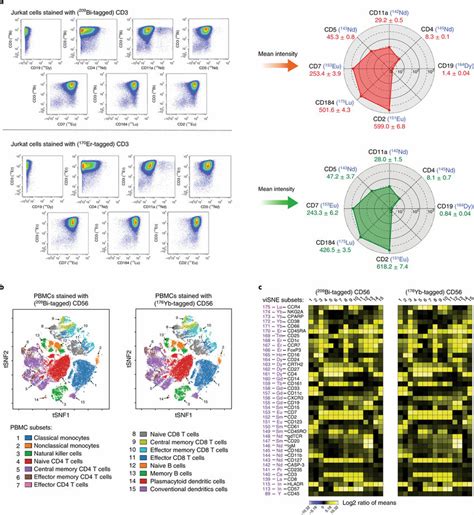 Comparisons Of Bismuth And Lanthanide Tagged Antibodies In