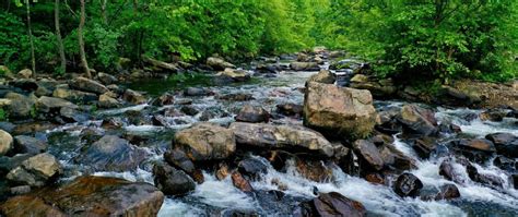 Flutter Getting Started With The Bloc Pattern Streams And Request