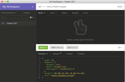 Insomnia REST Client Intro