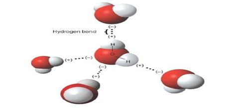 Water Molecules Are Connected By Hydrogen Bonding 6 Download