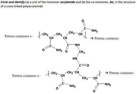 Circle And Identify A A Unit Of The Monomer Acrylamide And B The Co Monomer Bis In The