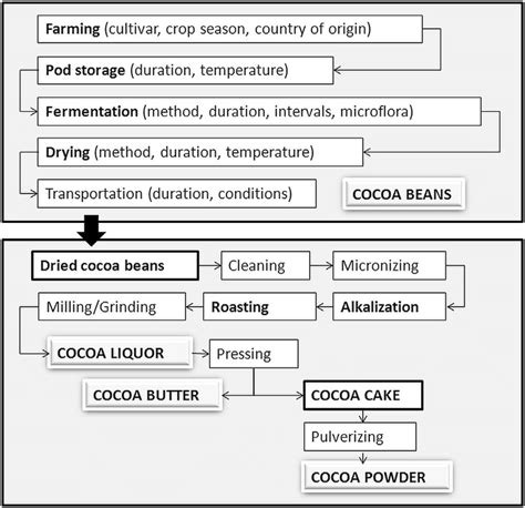 1 Flowchart Of Cocoa Bean Production And Manufacturing Processes Download Scientific Diagram