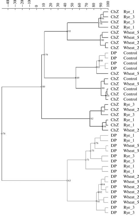 Dendrogram Constructed According To The ICPE Data Curtiss Ward