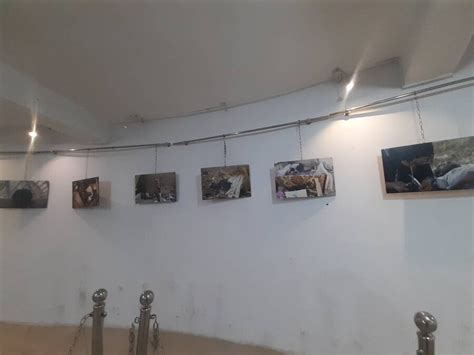 ورامین افتتاح نمایشگاه عکس با عنوان آسیب های اجتماعی سازمان بهزیستی